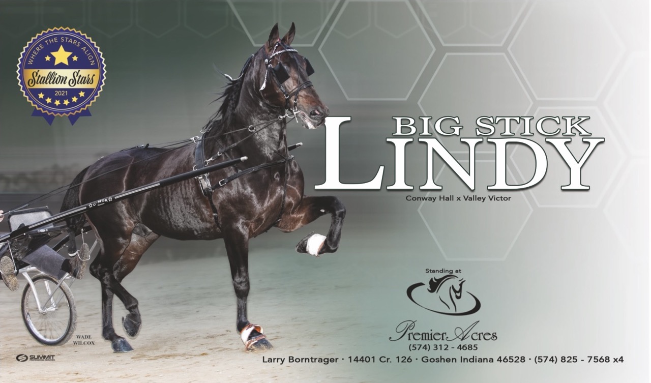 Big Stick Lindy